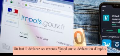 Où faut-il déclarer ses revenus Vinted sur sa déclaration d'impôts ? – ModeHot.com: Votre source ...