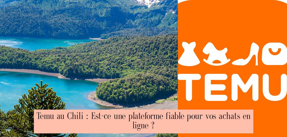 Temu au Chili : Est-ce une plateforme fiable pour vos achats en ligne ...
