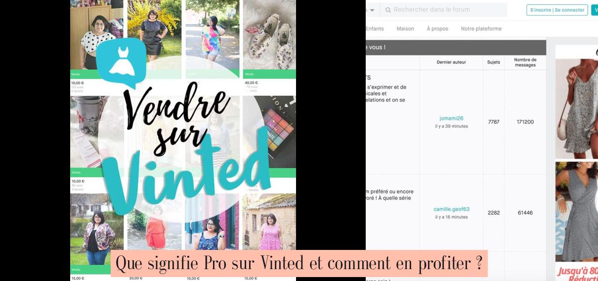 Que signifie Pro sur Vinted et comment en profiter ? – ModeHot.com: Votre source ultime pour l ...