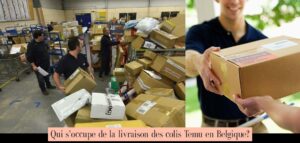 Qui s'occupe de la livraison des colis Temu en Belgique? – ModeHot.com ...