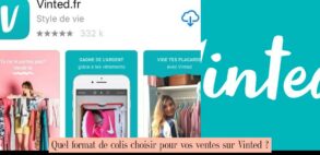 Quel format de colis choisir pour vos ventes sur Vinted ? – ModeHot.com ...